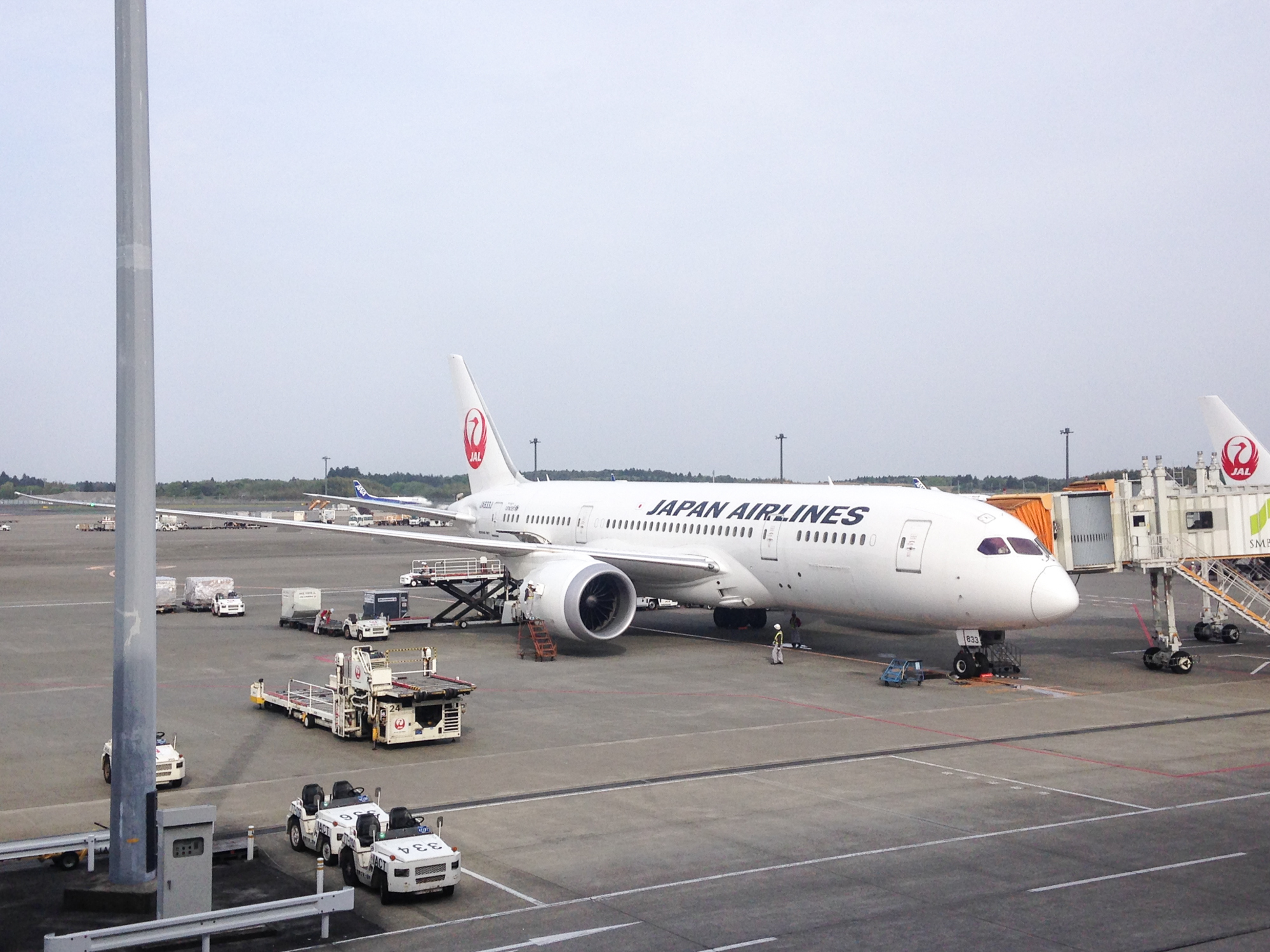 Guide To Domestic Flights In Japan – PFTRST