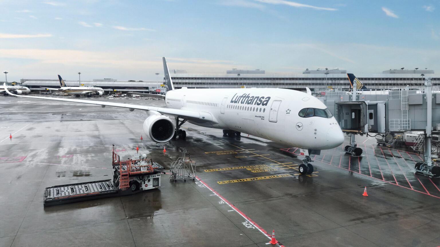 Lufthansa Allegris Routes – When and Where You Can Fly in the New Cabin ...